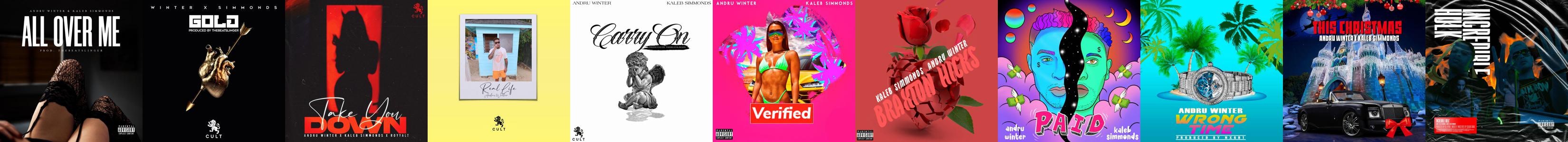 Andru Winter Store: Official Merch & Vinyl