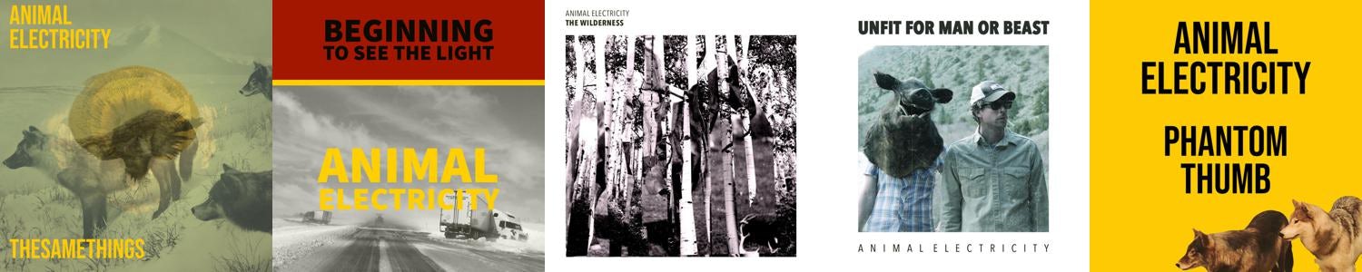 Animal Electricity Store: Official Merch & Vinyl