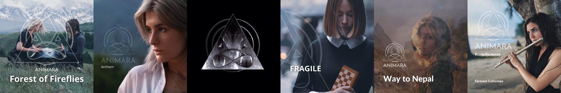 Animara Store: Official Merch & Vinyl