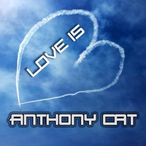 Anthony Cat Store: Official Merch & Vinyl