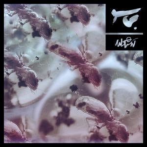 Arash Dara Store: Official Merch & Vinyl