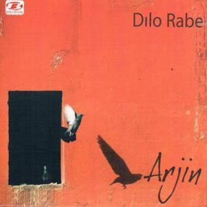 Arjin Store: Official Merch & Vinyl