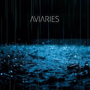 Aviaries Store: Official Merch & Vinyl