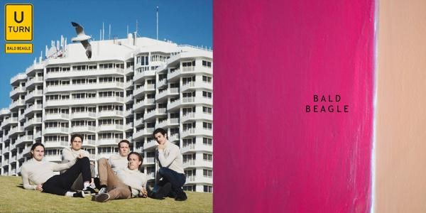 Bald Beagle Store: Official Merch & Vinyl