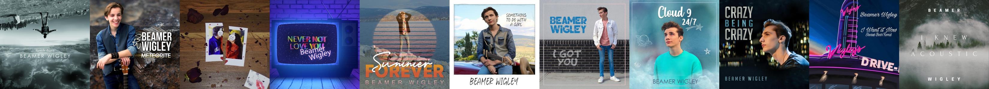 Beamer Wigley Store: Official Merch & Vinyl
