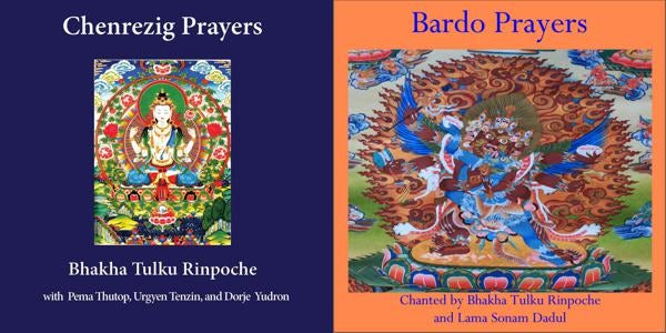 Bhakha Tulku Rinpoche Store: Official Merch & Vinyl