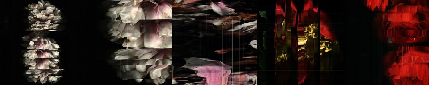 BLACKSHAPE Store: Official Merch & Vinyl