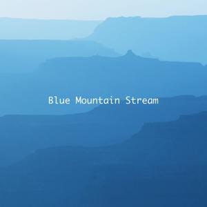 Blue Mountain Stream Store: Official Merch & Vinyl