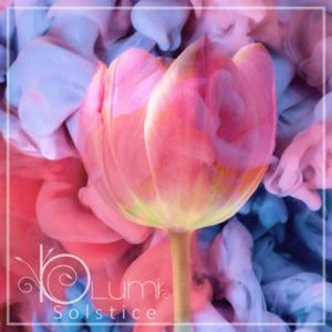 Blumi Store: Official Merch & Vinyl