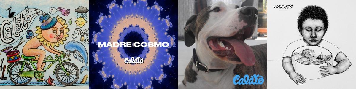 Calato Store: Official Merch & Vinyl