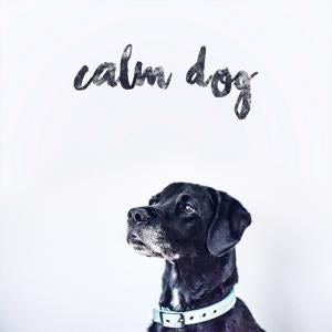 Calm Dog Store: Official Merch & Vinyl