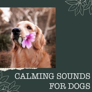 Calming Sounds for Dogs Store: Official Merch & Vinyl