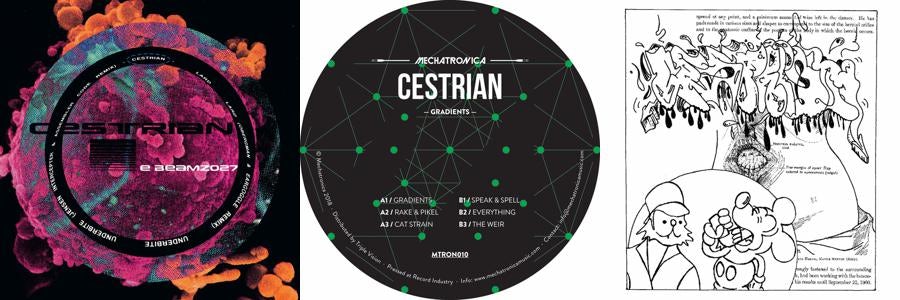 Cestrian Store: Official Merch & Vinyl