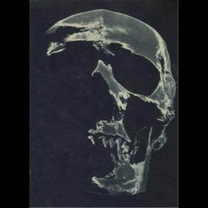 Cheel Ghar Store: Official Merch & Vinyl