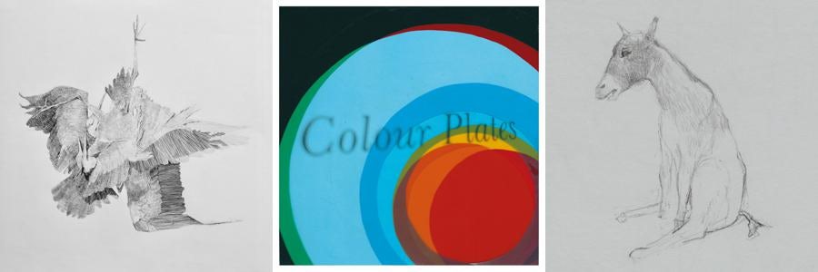 Colour Plates Store: Official Merch & Vinyl