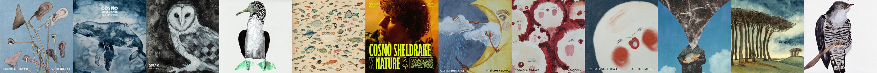 Cosmo Sheldrake Store: Official Merch & Vinyl