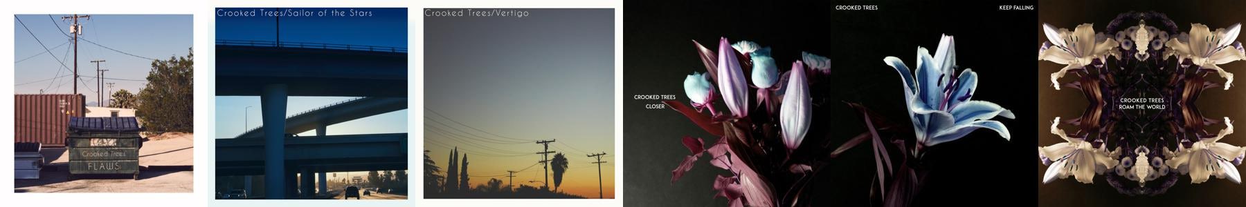 Crooked Trees Store: Official Merch & Vinyl