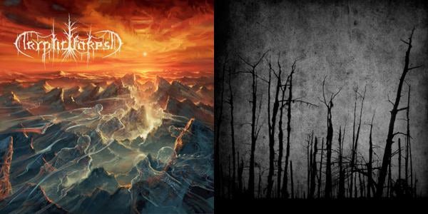 Cryptic Forest Store: Official Merch & Vinyl