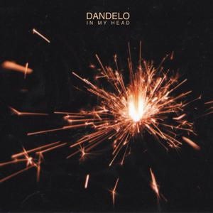 Dandelo Store: Official Merch & Vinyl