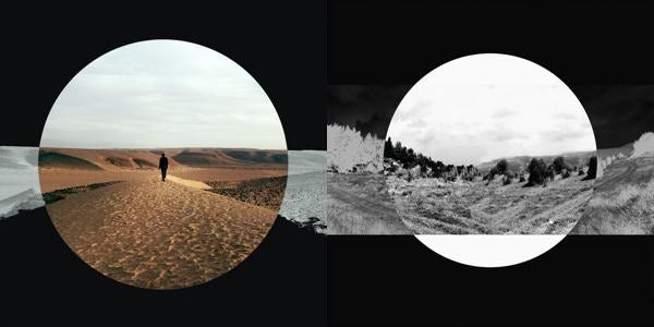 Danski Store: Official Merch & Vinyl