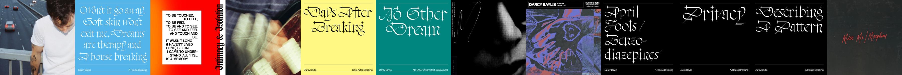 Darcy Baylis Store: Official Merch & Vinyl