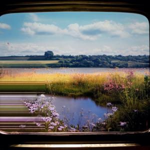 David Cane-Hardy Store: Official Merch & Vinyl