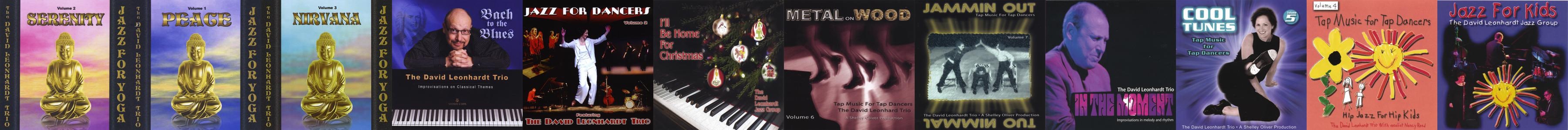 David Leonhardt Store: Official Merch & Vinyl