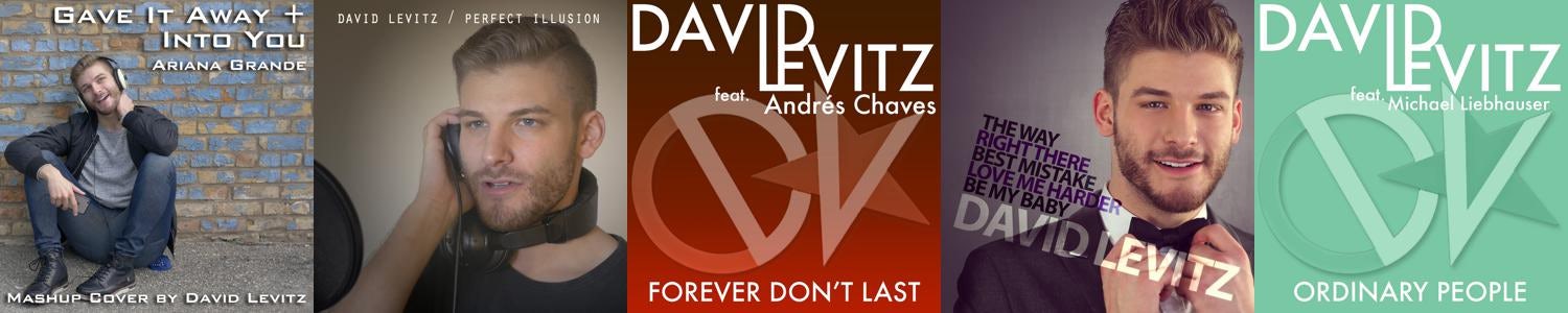 David Levitz Store: Official Merch & Vinyl