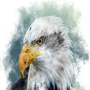 David Spillane Store: Official Merch & Vinyl