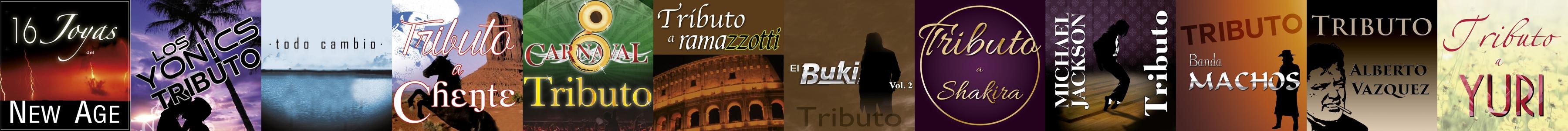 DCO Store: Official Merch & Vinyl