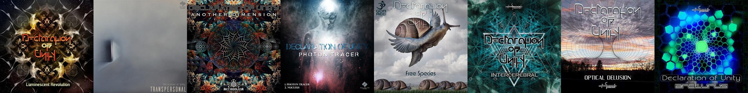 Declaration of Unity Store: Official Merch & Vinyl