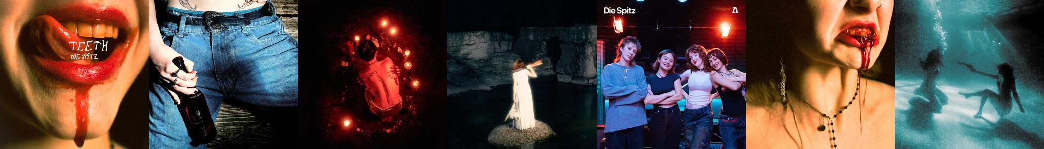 Die Spitz Store: Official Merch & Vinyl