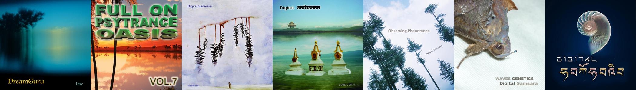 Digital Samsara Store: Official Merch & Vinyl