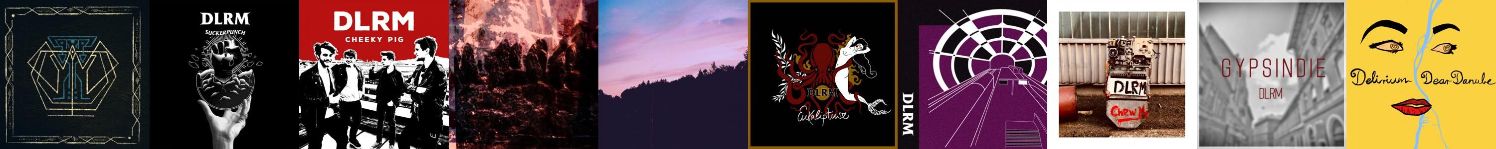 DLRM Store: Official Merch & Vinyl