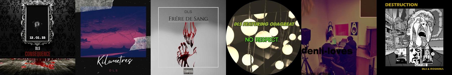 DLS Store: Official Merch & Vinyl