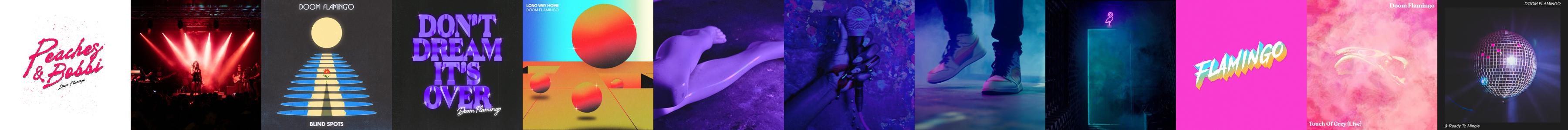 Doom Flamingo Store: Official Merch & Vinyl