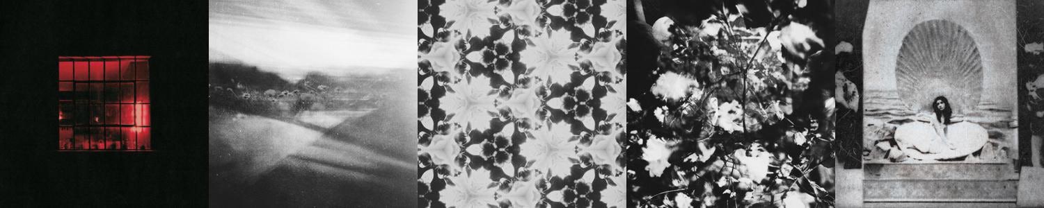 dottie Store: Official Merch & Vinyl