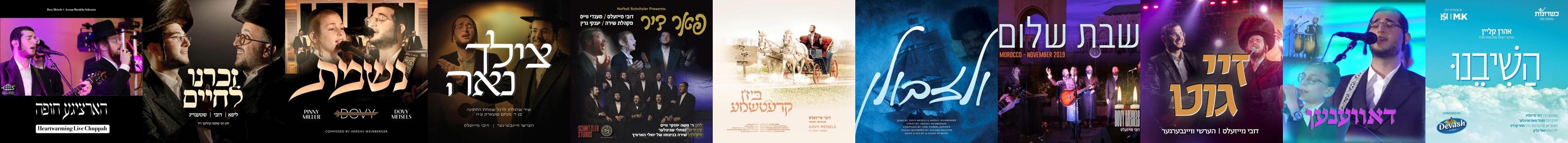 Dovy Meisels Store: Official Merch & Vinyl