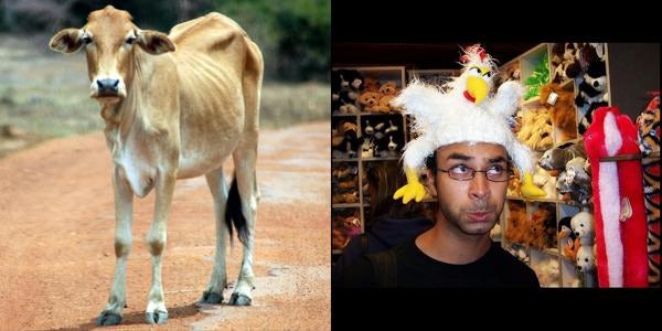 Duncan Cook Store: Official Merch & Vinyl