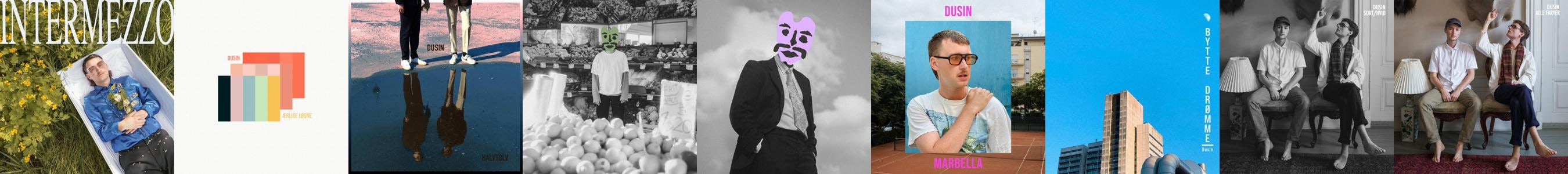 Dusin Store: Official Merch & Vinyl