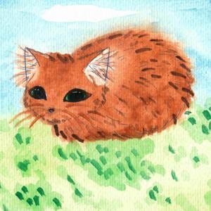 El Patra Helmy & AKD Project Store: Official Merch & Vinyl