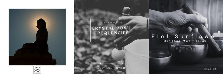 Elof Sunflower Store: Official Merch & Vinyl