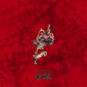 Erlanggs Store: Official Merch & Vinyl