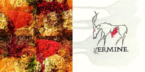 Ermine Store: Official Merch & Vinyl