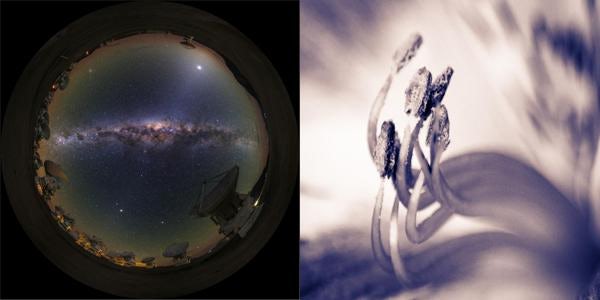 Exovex Store: Official Merch & Vinyl