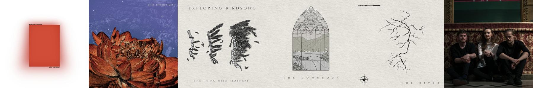 Exploring Birdsong Store: Official Merch & Vinyl