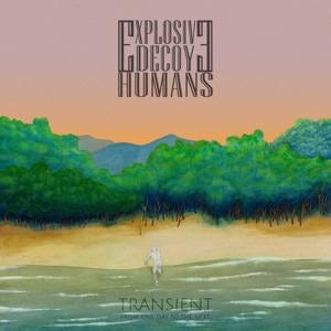 Explosive Decoy Humans Store: Official Merch & Vinyl