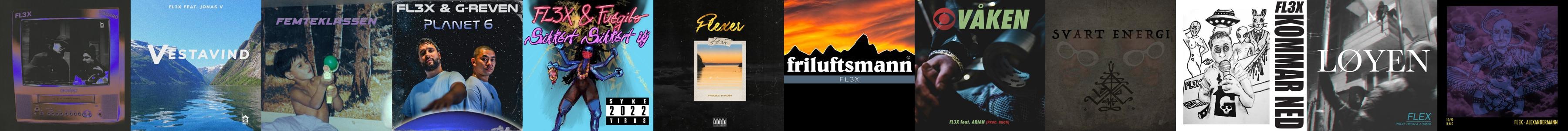 FL3X Store: Official Merch & Vinyl