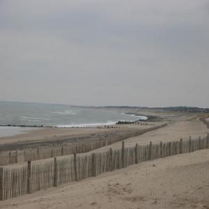 FnF Store: Official Merch & Vinyl