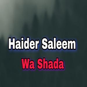 Haider Saleem Store: Official Merch & Vinyl